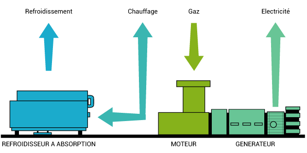 Biogaz - Syngaz - EOSgen-technologies Biogaz - Syngaz